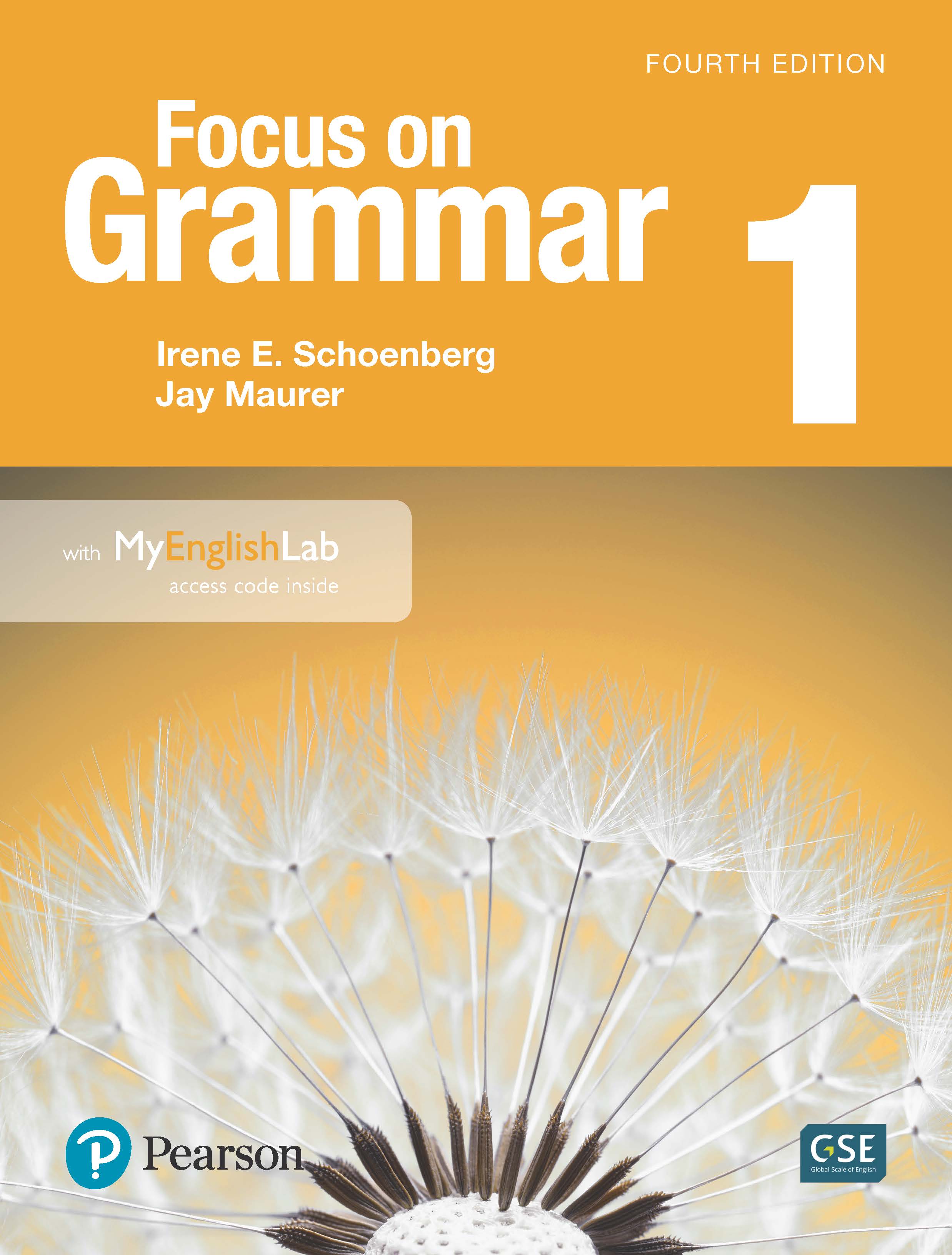 Focus On Grammar Fifth Edition Pearson ELT USA
